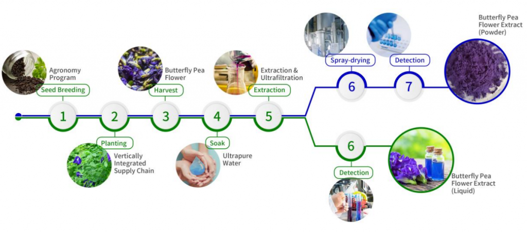 Butterfly Pea Flower Extract – BINMEI Biotechnology